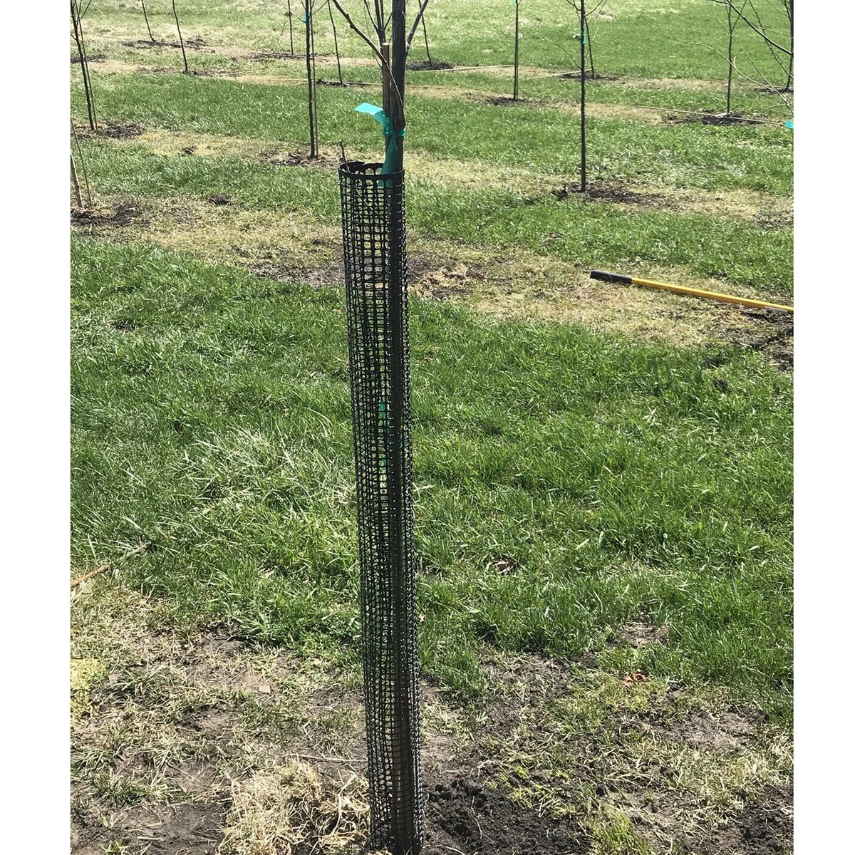 Mesh Tree Bark Protector 48 Inches (5 Pack) – Voglund Nursery